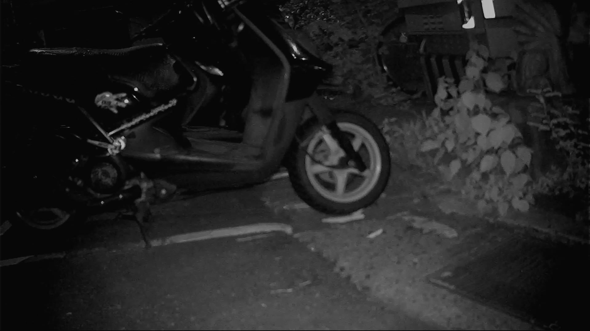 yolov8_lpr Object Detection Dataset by ntu lab