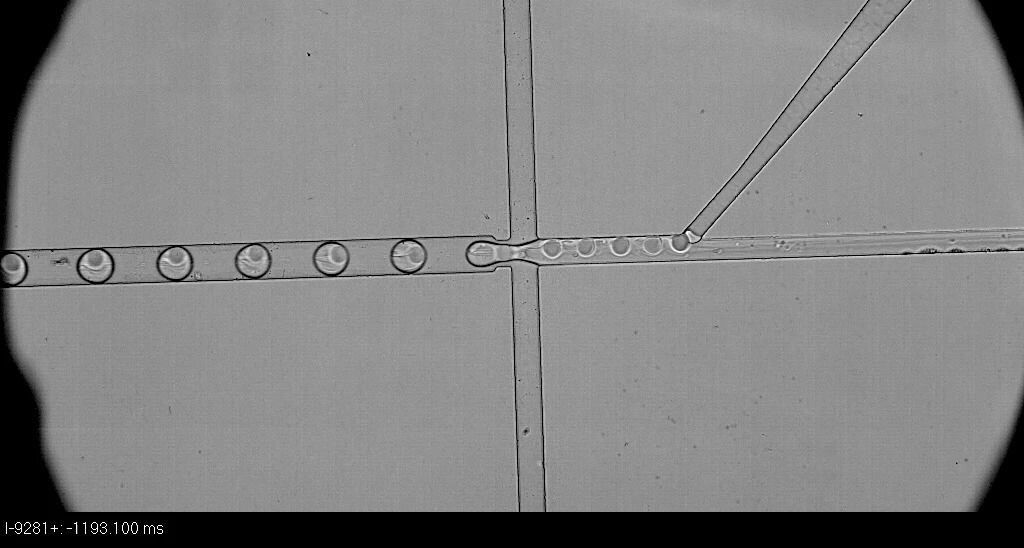 Droplet Detection1 Object Detection Model by HrithikxoML