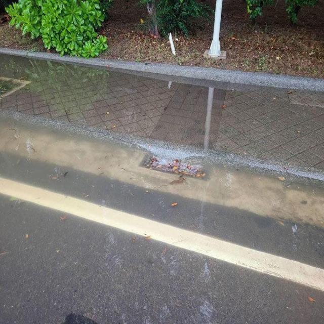 CWPRS Instance Segmentation Model by My Workspace