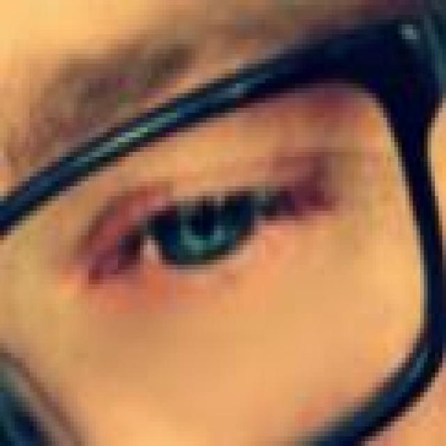 Eye Data Object Detection Model by ShreyaGupta