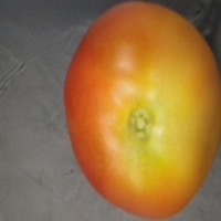 tomato grading - Roboflow Universe