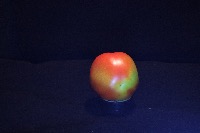 tomato grading - Roboflow Universe
