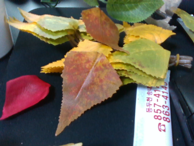 yolov8_seg_v1 Instance Segmentation Model by seoul national university ...