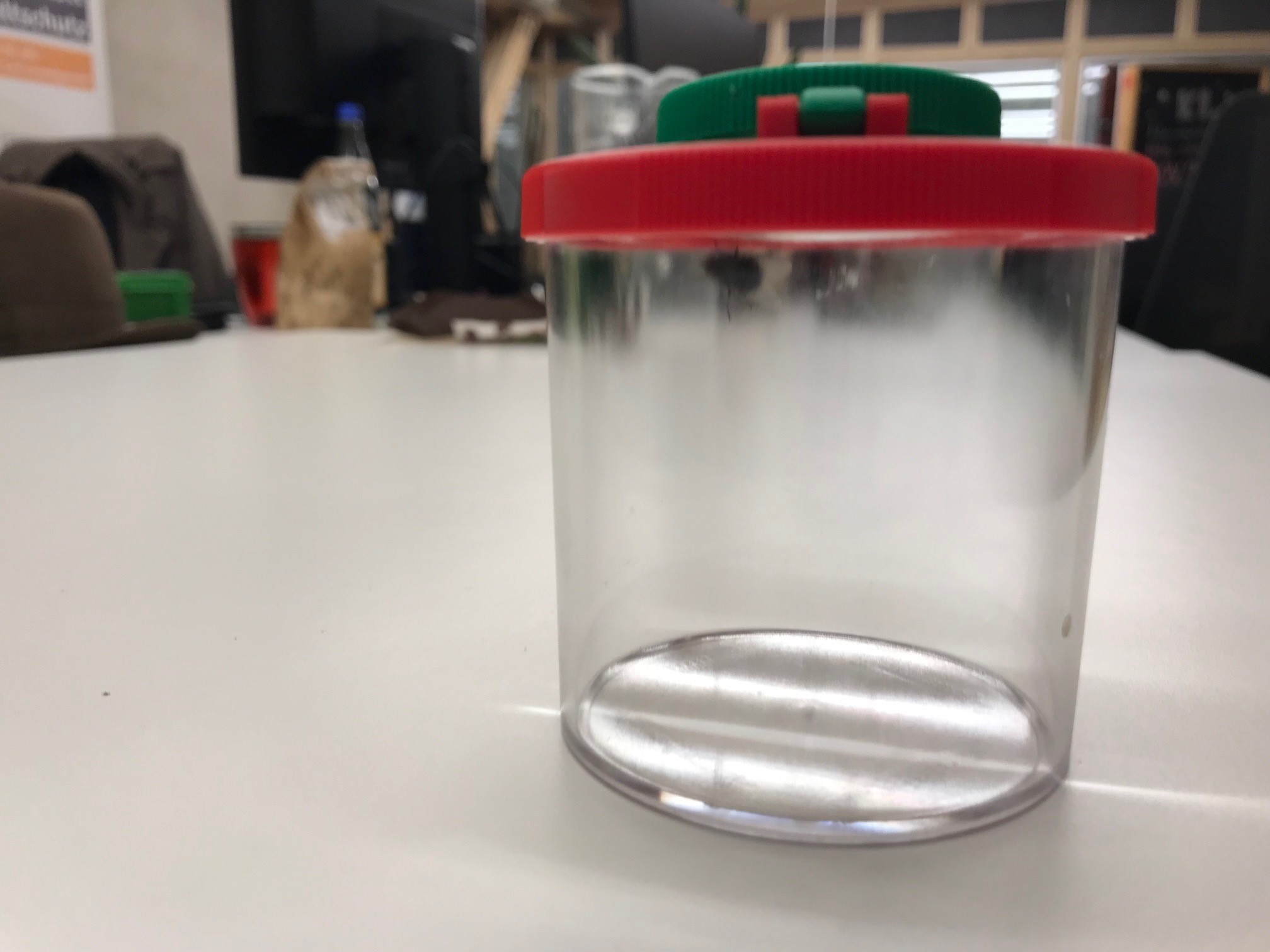 Sensor Workshop Jan23 Object Detection Dataset (v1, 2022-12-19 4:47pm ...