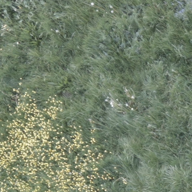 Aruco Drone Object Detection Dataset By Aruco