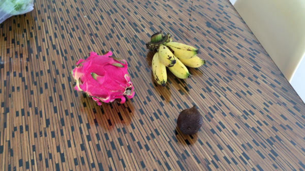 Types Object Detection Dataset and Pre-Trained Model by helloworld