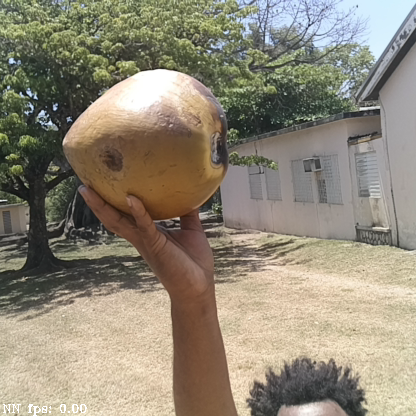 Coconut Detector Object Detection Model by Kevonteh Brown