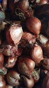 Top Perfect_onion Datasets and Models | Roboflow Universe