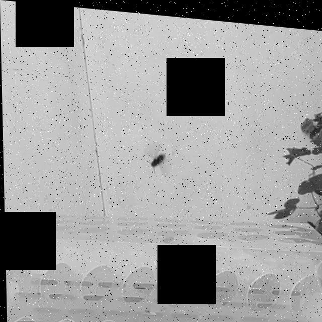 Hornet Detection Object Detection Dataset And Pre Trained Model By Pfe