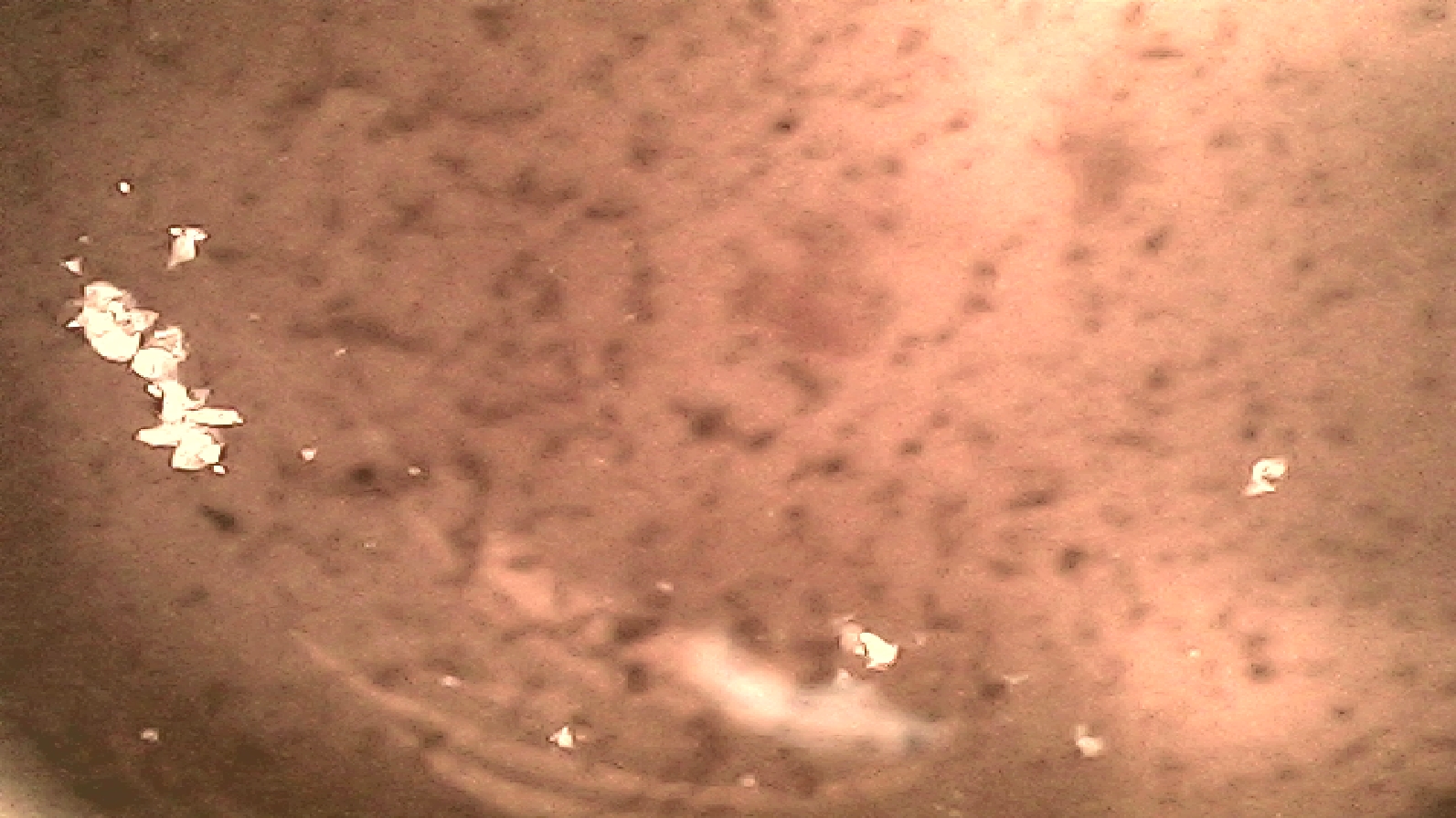 Microplastics detection8 Object Detection Dataset by ATU Sligo