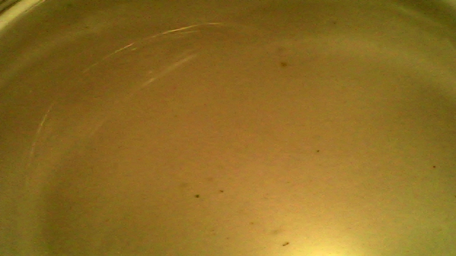 Microplastics Detection7 Object Detection Dataset By Atu Sligo