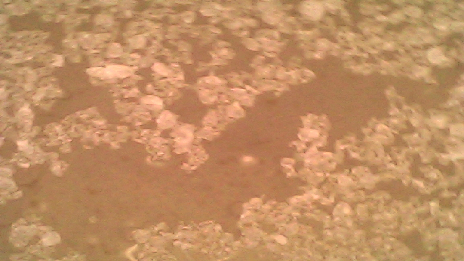 Microplastics Detection4 Object Detection Dataset By Atu Sligo