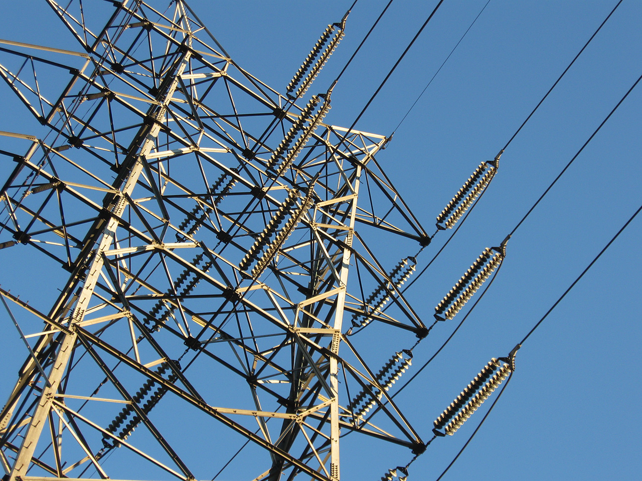 Aa Object Detection Model By Tese 1