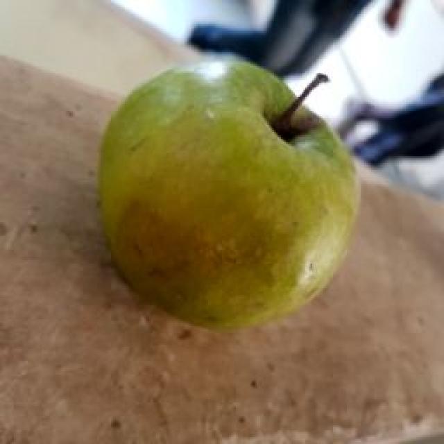 Fruit sorting Object Detection Dataset by Project