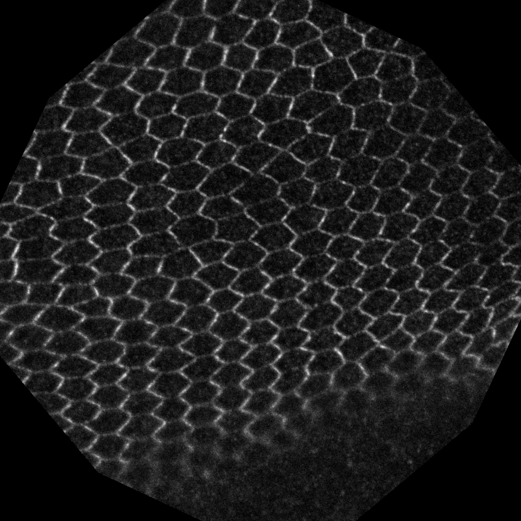 Todd Baker (todd-baker-h9x8x) - Roboflow Universe