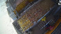 detecting stones - Roboflow Universe