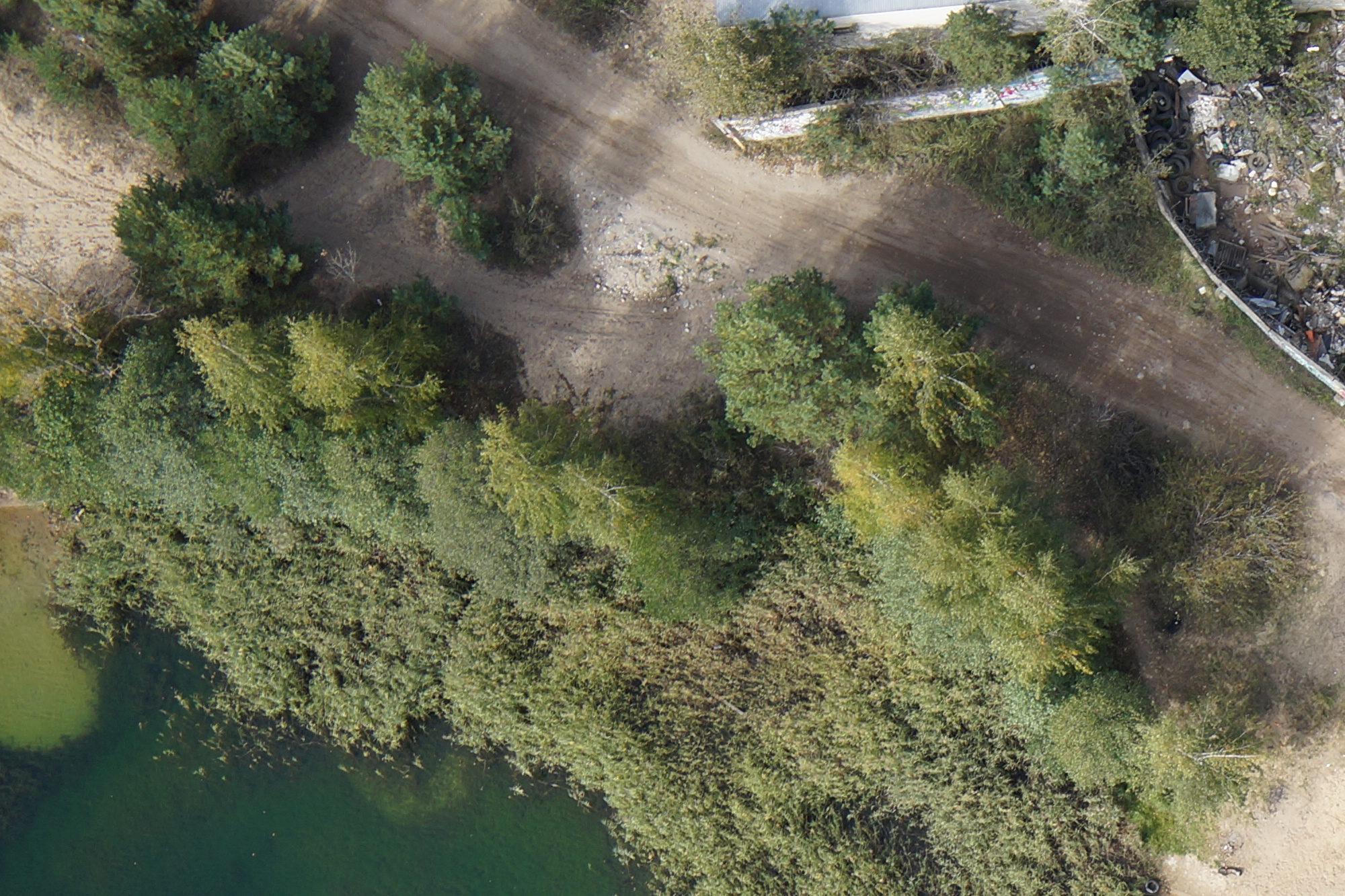 garbage_sinabdeev Object Detection Dataset by Alex