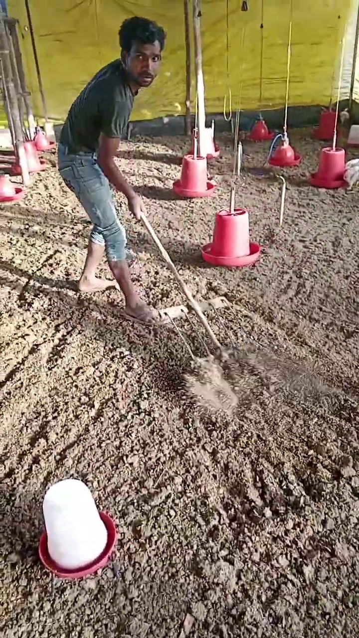 Poultry Litter Raking Object Detection Dataset By Poultry