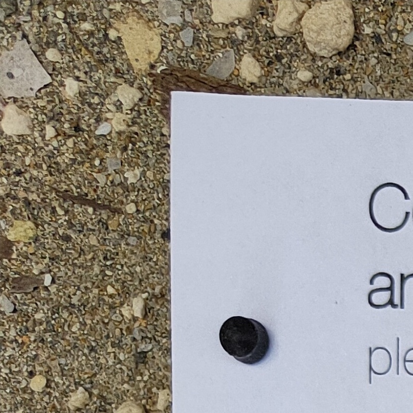 Microplastic_Alejandro_Test2Classes832 Object Detection Dataset by ...