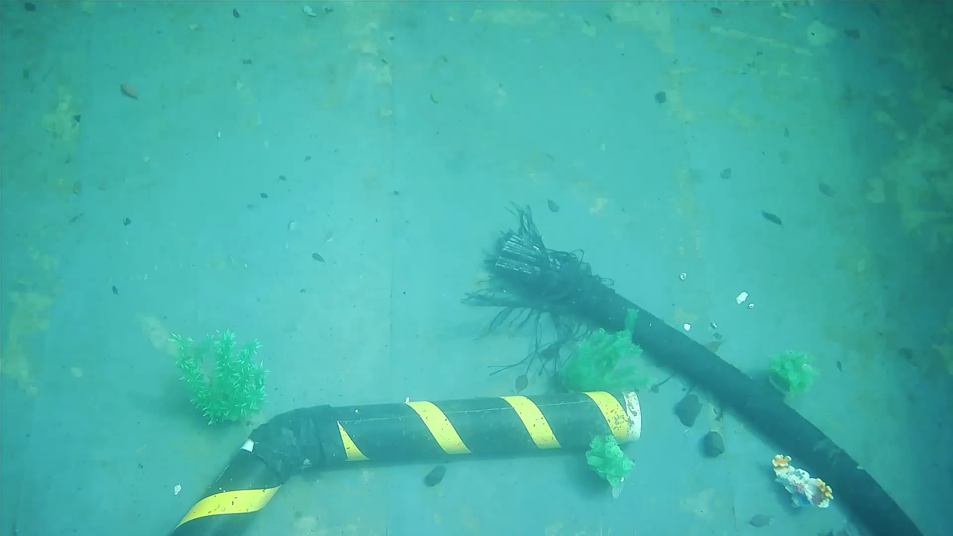 submarine cable Object Detection Model (v1, 2025-08-09 4:05pm) by Wmuu