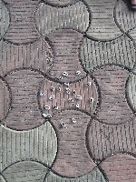 Digitalization of Ifa Oracle - Roboflow Universe