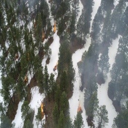 Forest Fire detection Object Detection Model by Minor Project