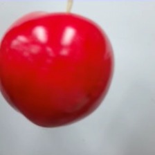 apple Object Detection Dataset by 1233