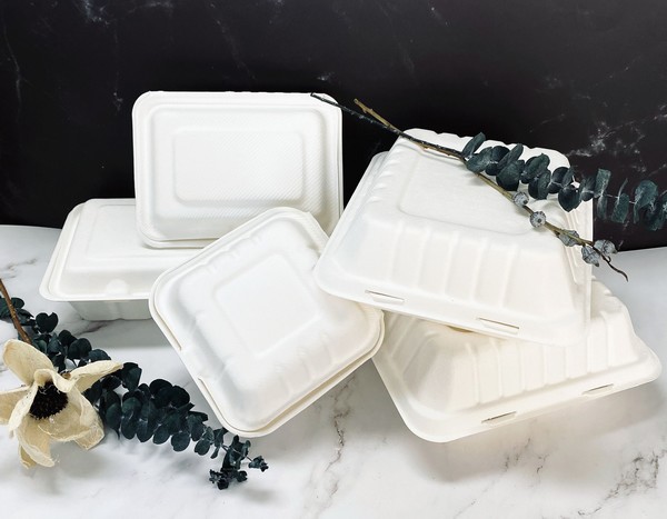 Train Classification Dataset by R