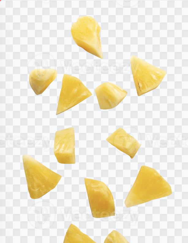 Pineapple On Pizza Object Detection Dataset By Dlterm