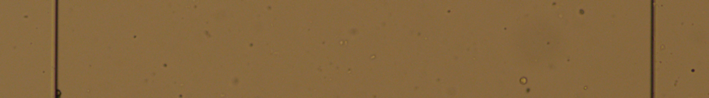 Benam Lab - Roboflow Universe