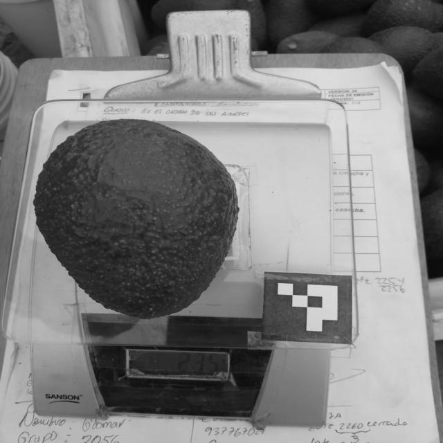 Alpukat Deteksi Object Detection Model by yo man