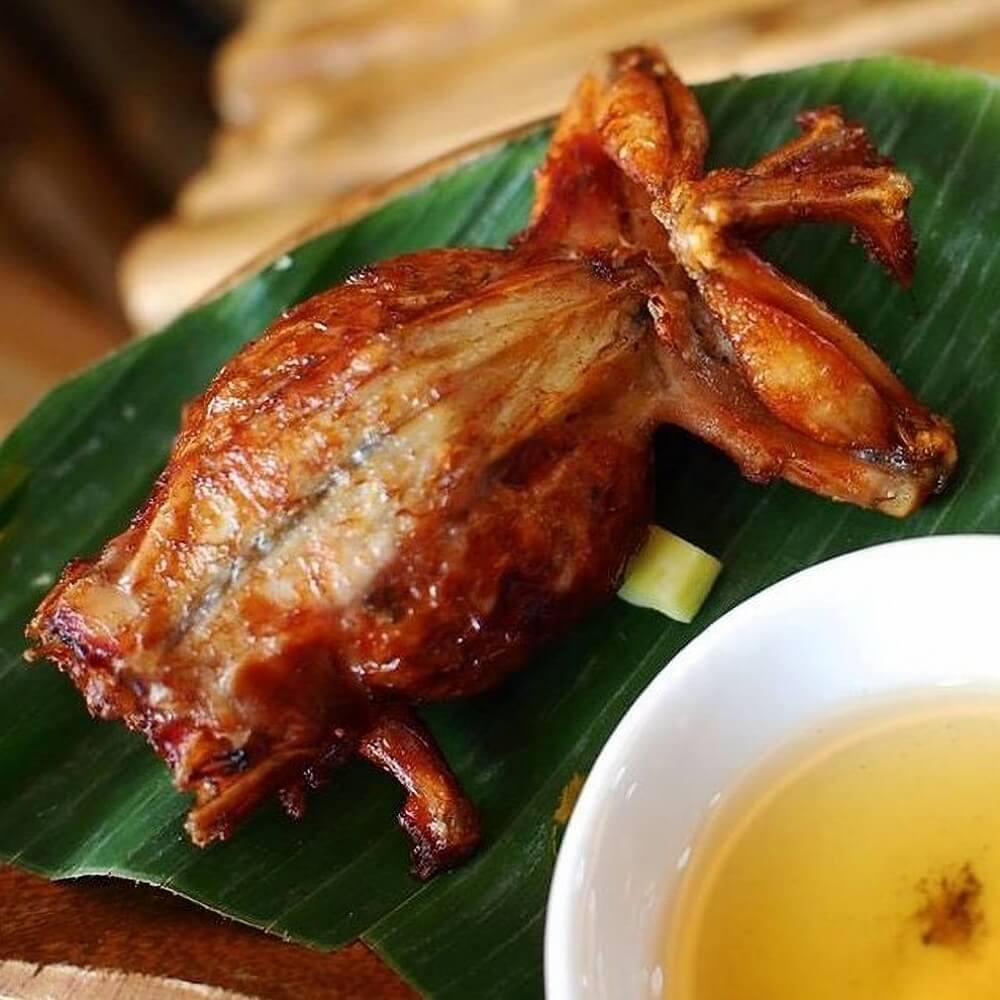 V1 Object Detection Dataset by Wilson