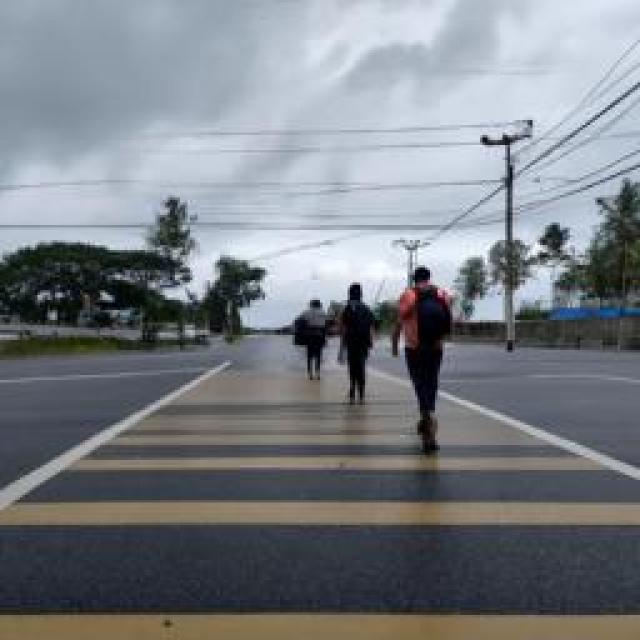 wedge Object Detection Model by harsh