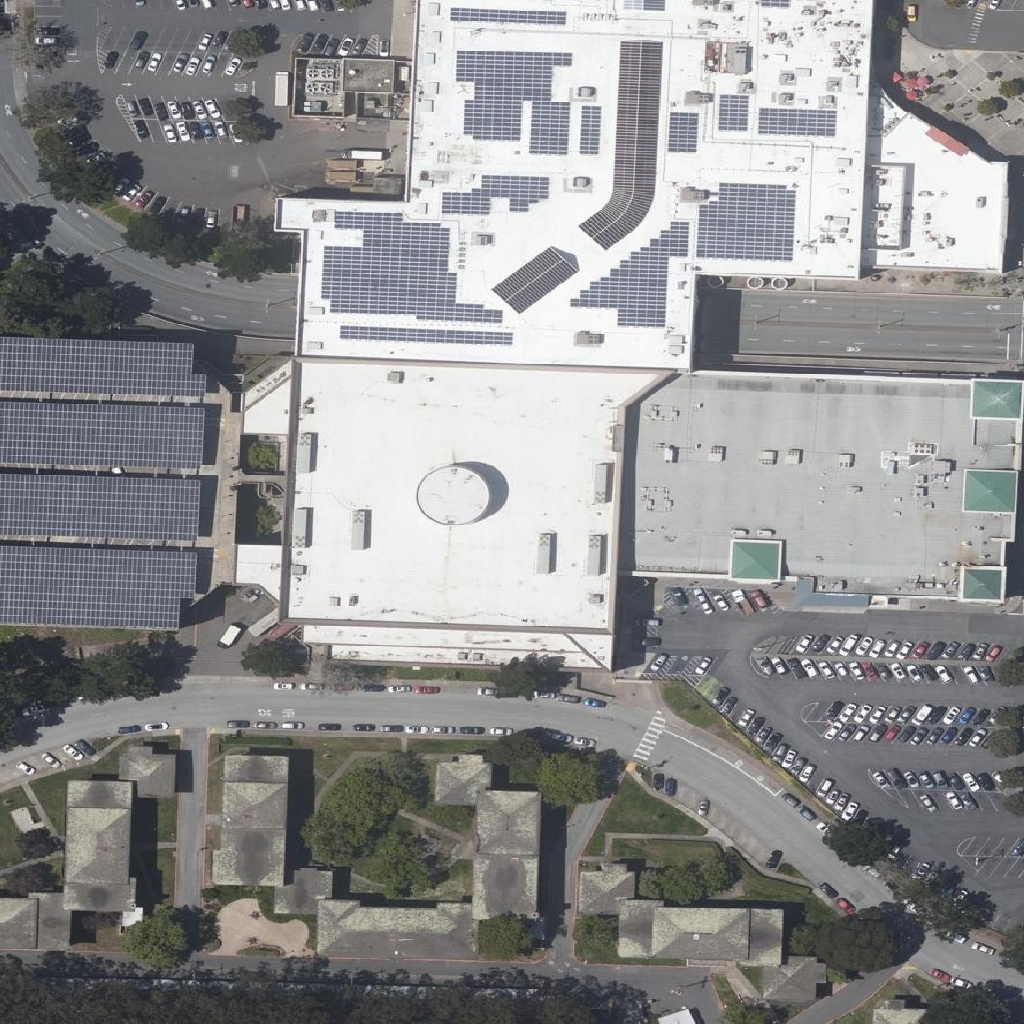 Tree Testing Instance Segmentation Dataset by trees