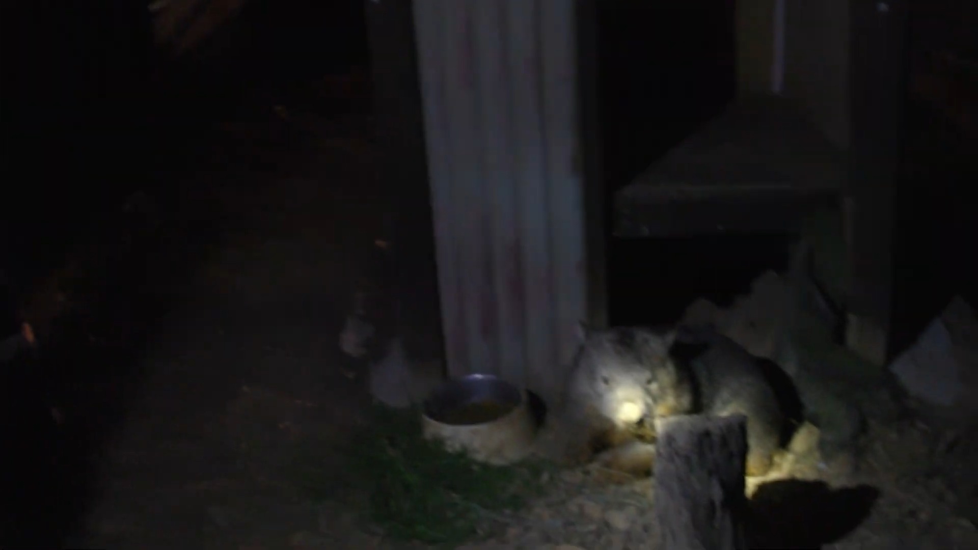 My Yolo Project Object Detection Model By Sss