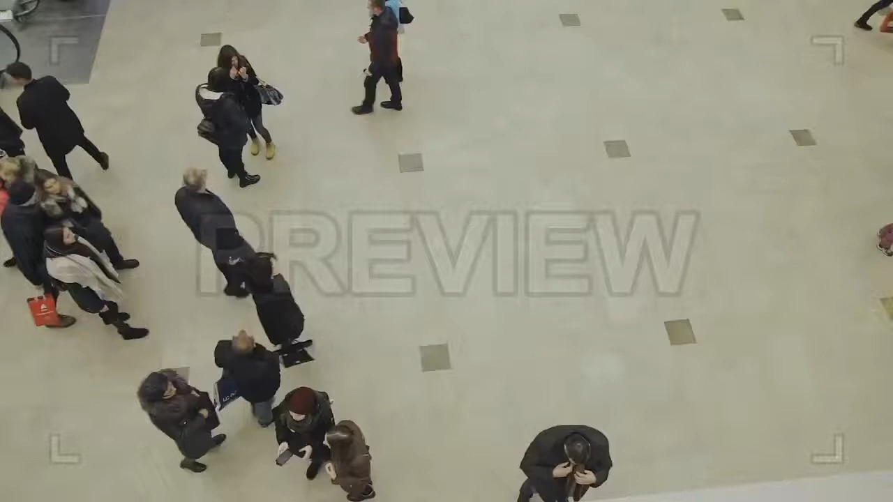 cctv-head-counter Object Detection Dataset by cctvheadcounter