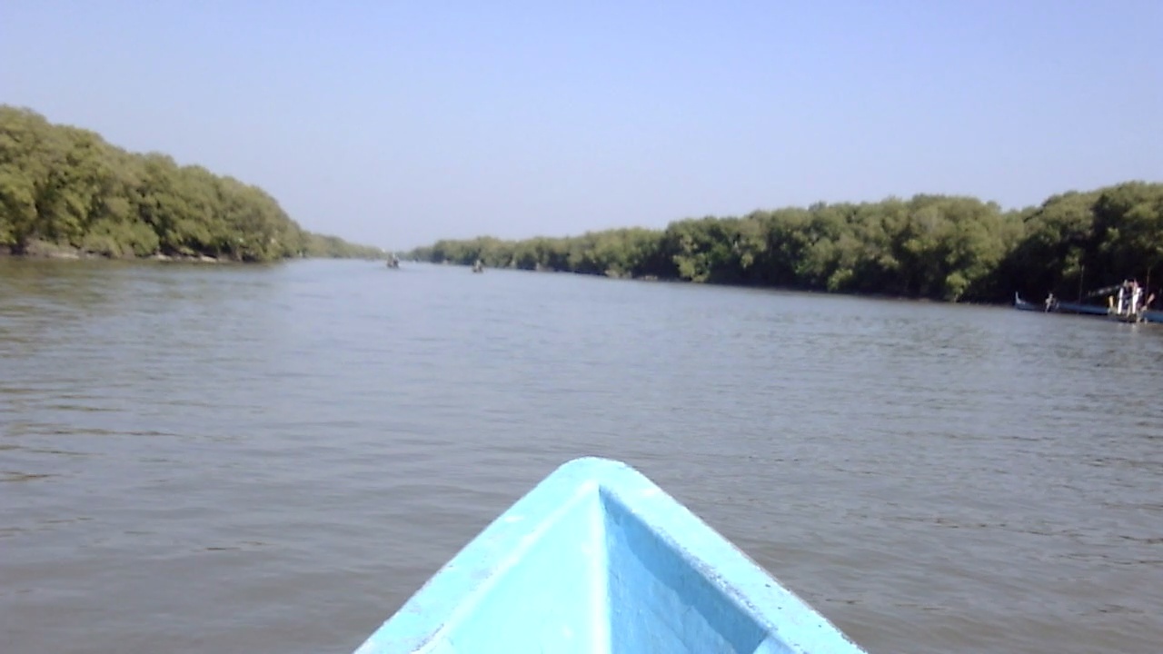 Water segmentation Instance Segmentation Dataset by Aqila Rashida