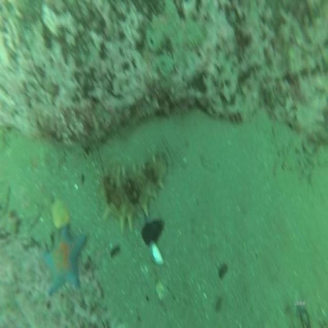 TRY_OD Object Detection Dataset by UODyolov7