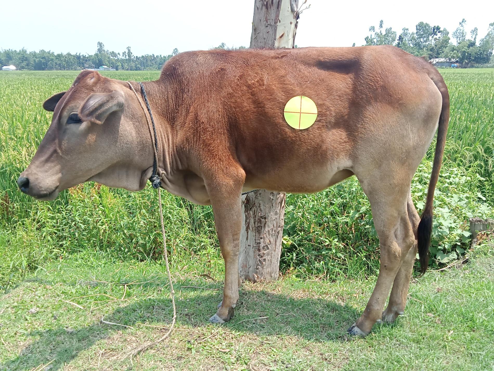 iot-segmentation Instance Segmentation Model by Projetos