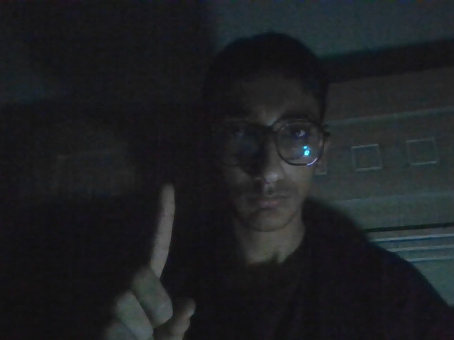 signlanguage Object Detection Dataset by kasra