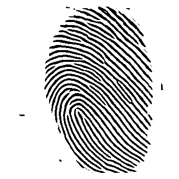 FingerPrint v2.1 Object Detection Dataset by University