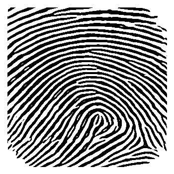 Fingerprint v2v3 Object Detection Dataset by University