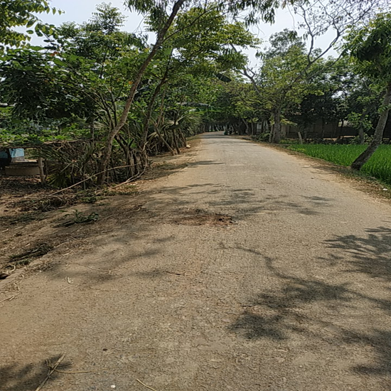 puddle Instance Segmentation Dataset by RoadCrack