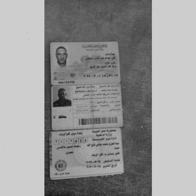 driving_license_egy Object Detection Dataset by hammam82