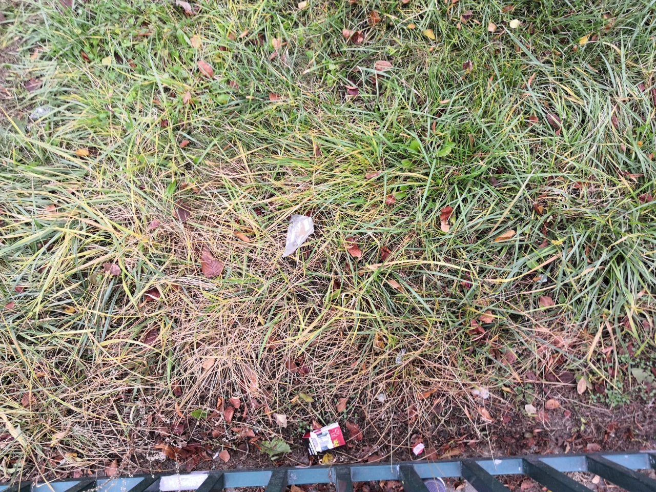 UAVVaste Object Detection Dataset by Project