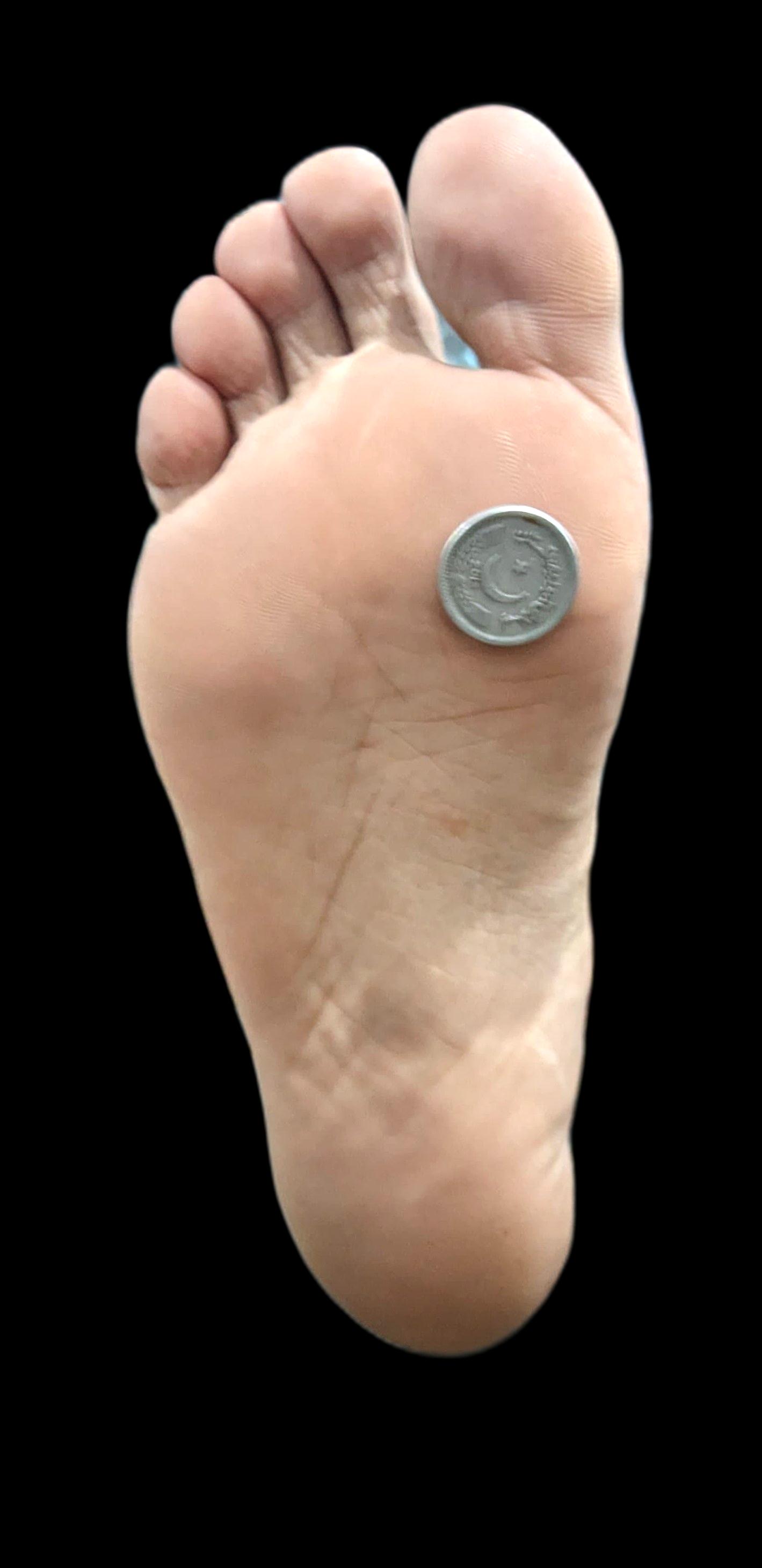 Feet_detection Object Detection Dataset by Pouryas Workspace