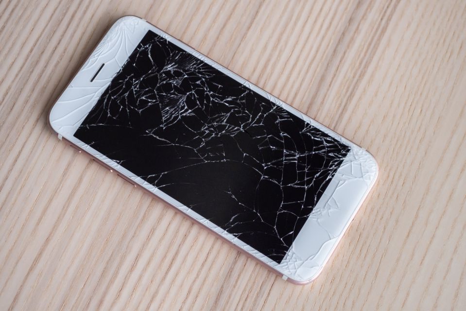 zil - Roboflow Universe