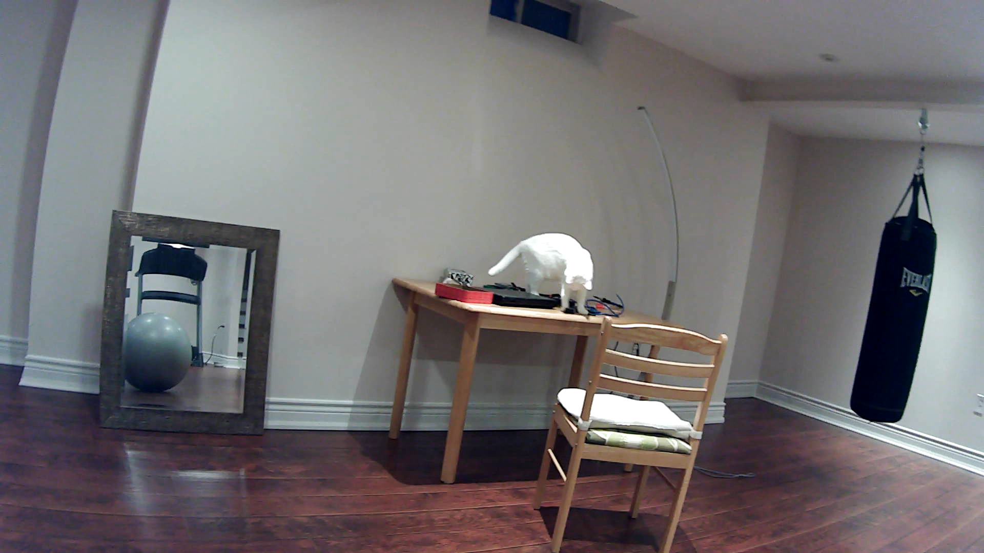 Cat Detection Object Detection Dataset And Pre Trained Model By Catdetection