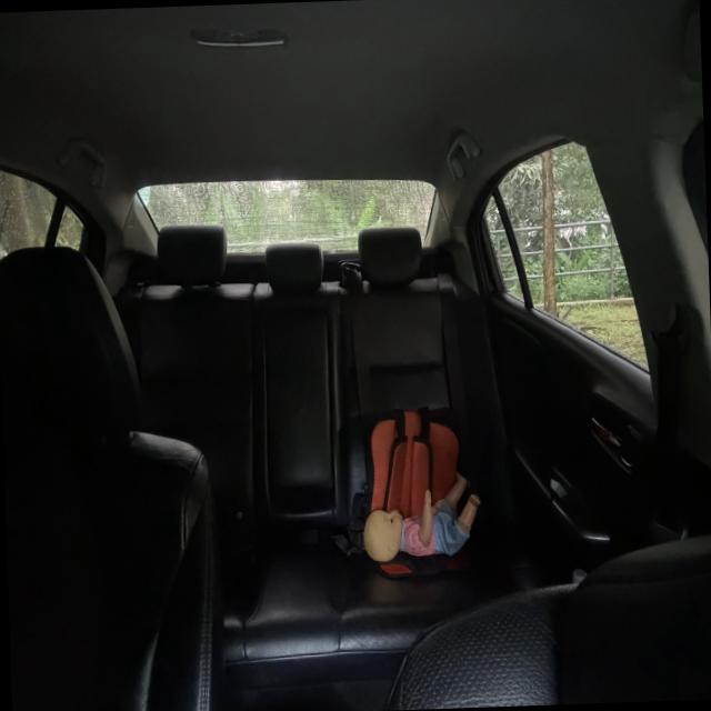 dolls Object Detection Dataset and Pre-Trained Model by FYP