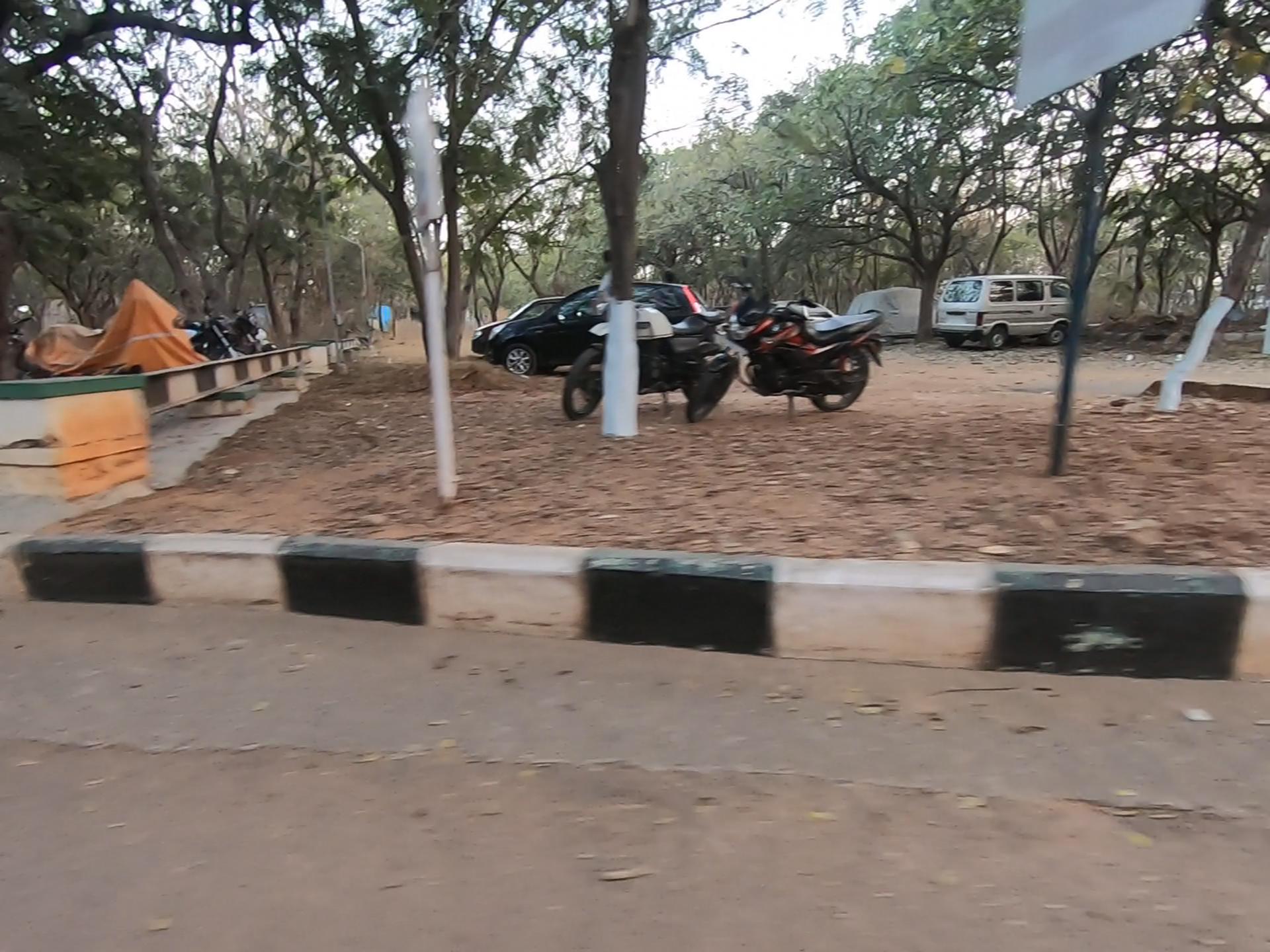 Arf Ihub Aa Tree Object Detection Dataset By New Workspace Uhijq